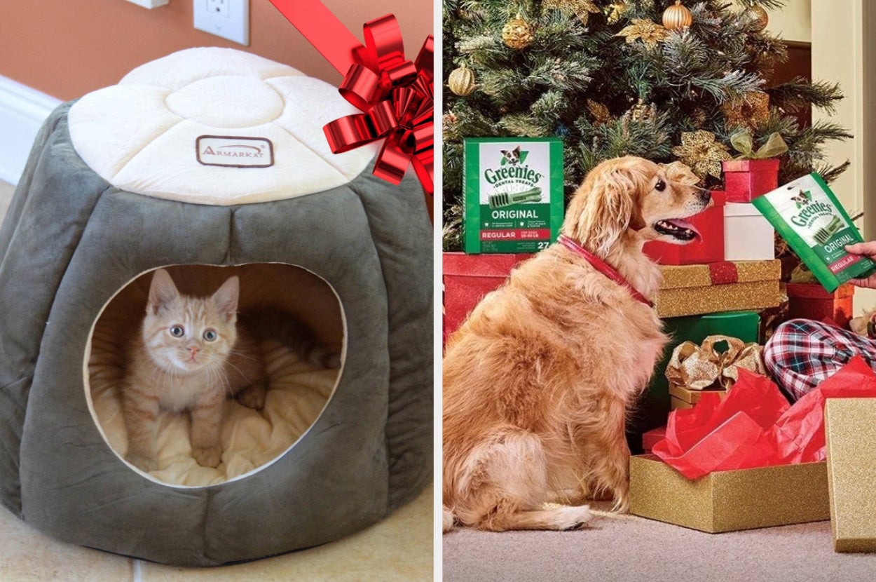 25 Of The Best Gifts For Pets You Can Get At Walmart