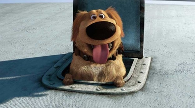 Quiz Can You Actually Remember The Names Of These Movie Dogs quiz-can-you-actually-remember-the-names-of-these-movie-dogs