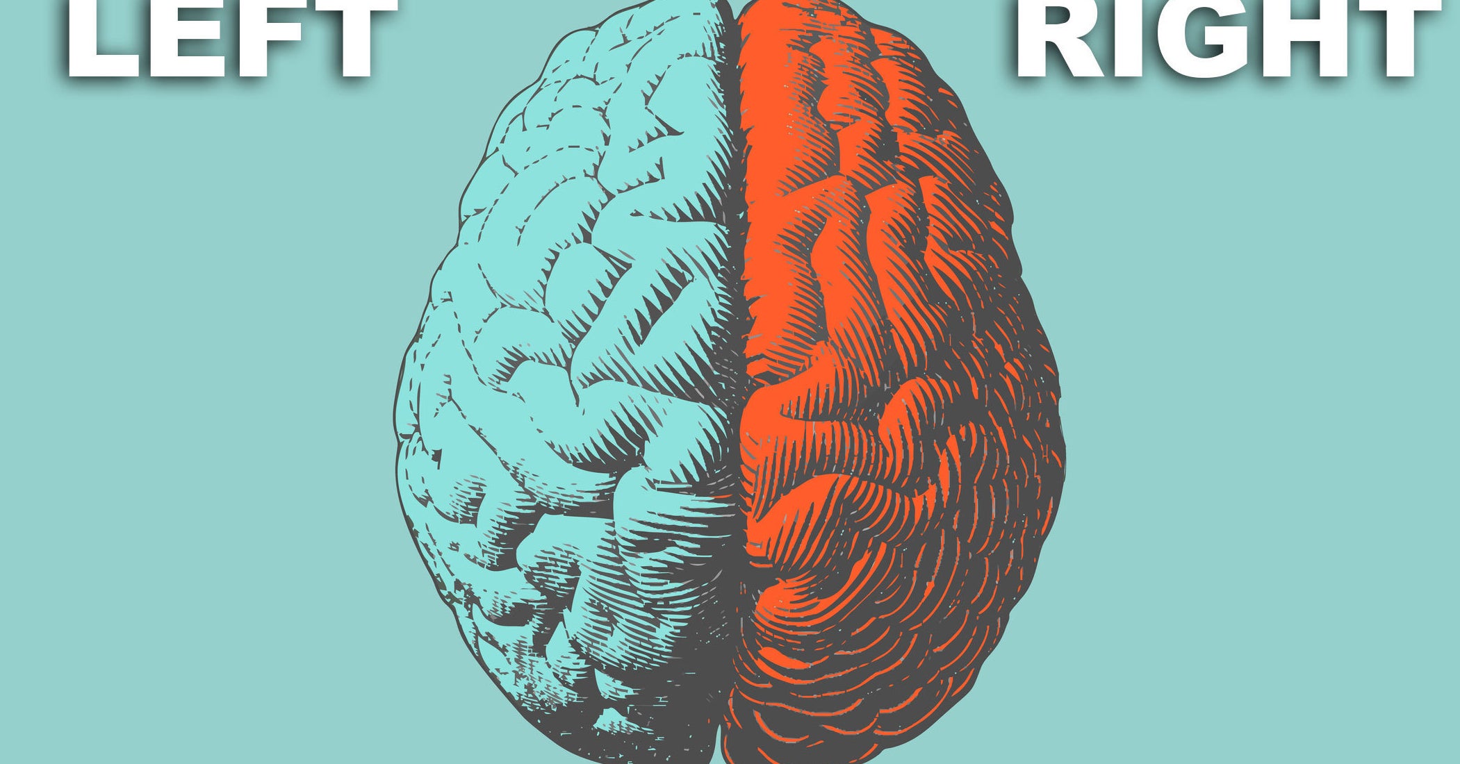 Are These Things On The Left Or The Right?