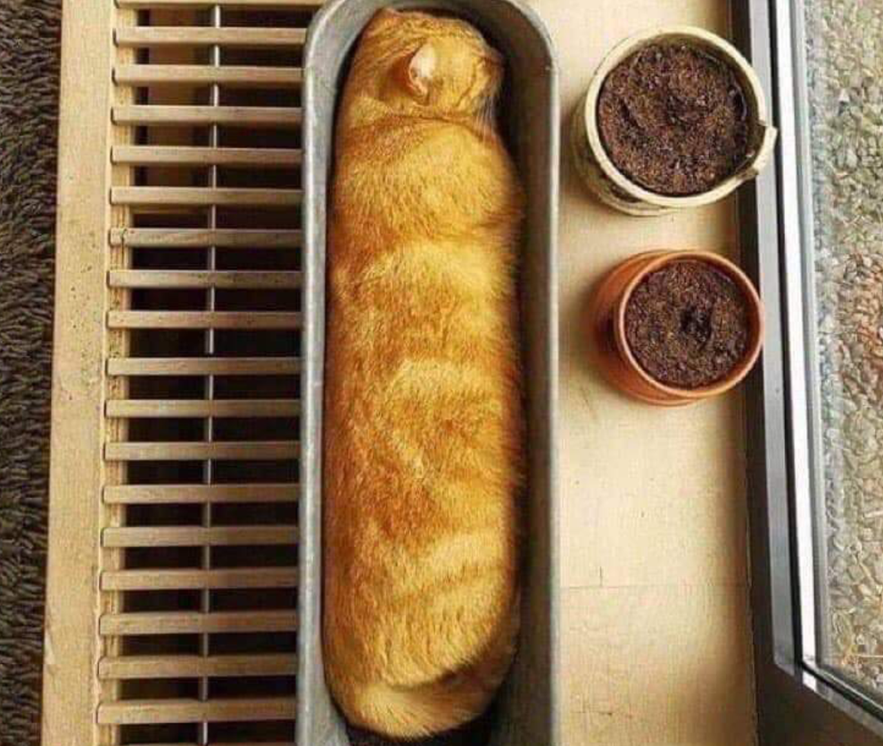 21 Things That Look Delicious But Are Definitely Not Food