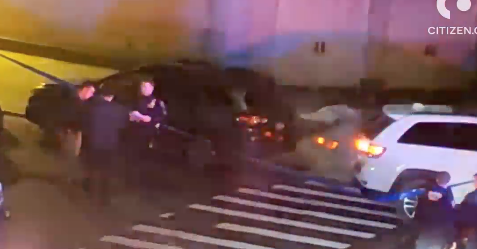 An Off-Duty Secret Service Agent Shot And Killed A Pet Dog In Brooklyn