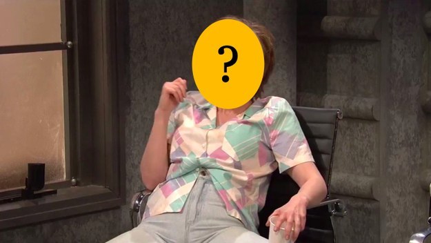 Quiz: Can You Remember Which "Saturday Night Live" Cast Member Played ...