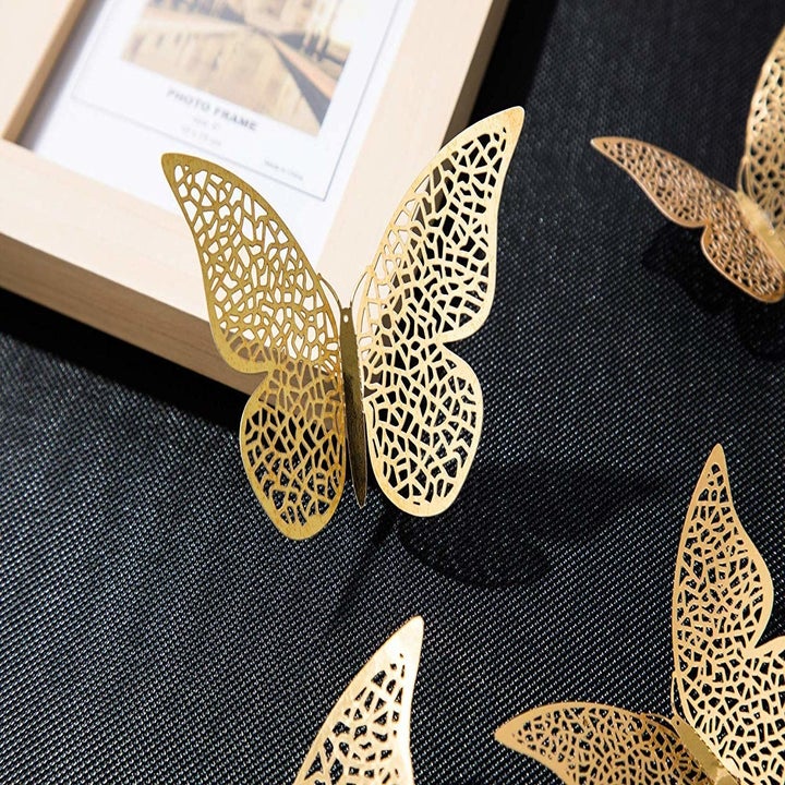 18 Pretty Things That You'll Never Want To Take Your Eyes Off Of