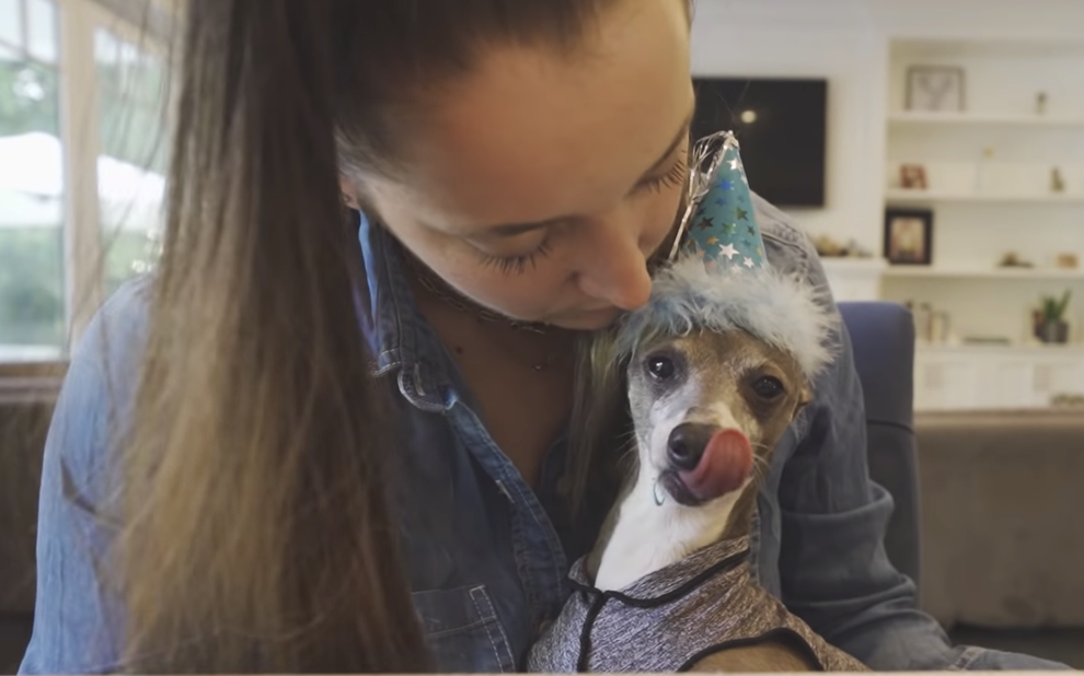 17 Jenna Marbles Kermit The Dog Moments