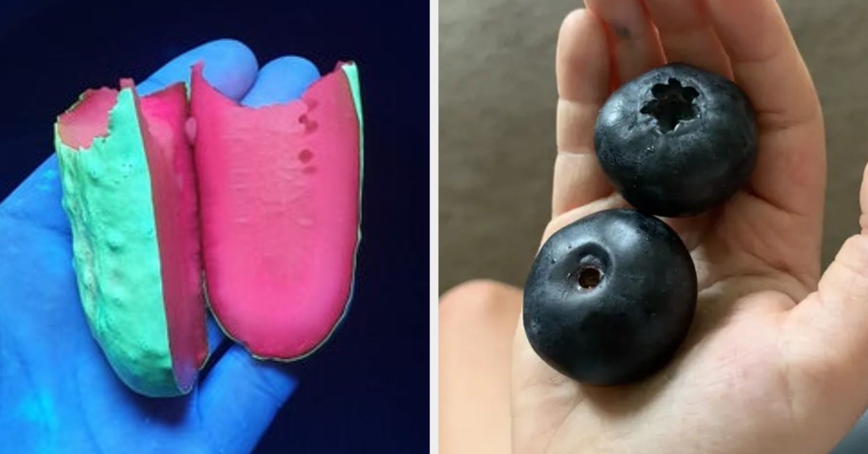 24 Pictures Of Food That Look Like They’re From A Different Dimension
