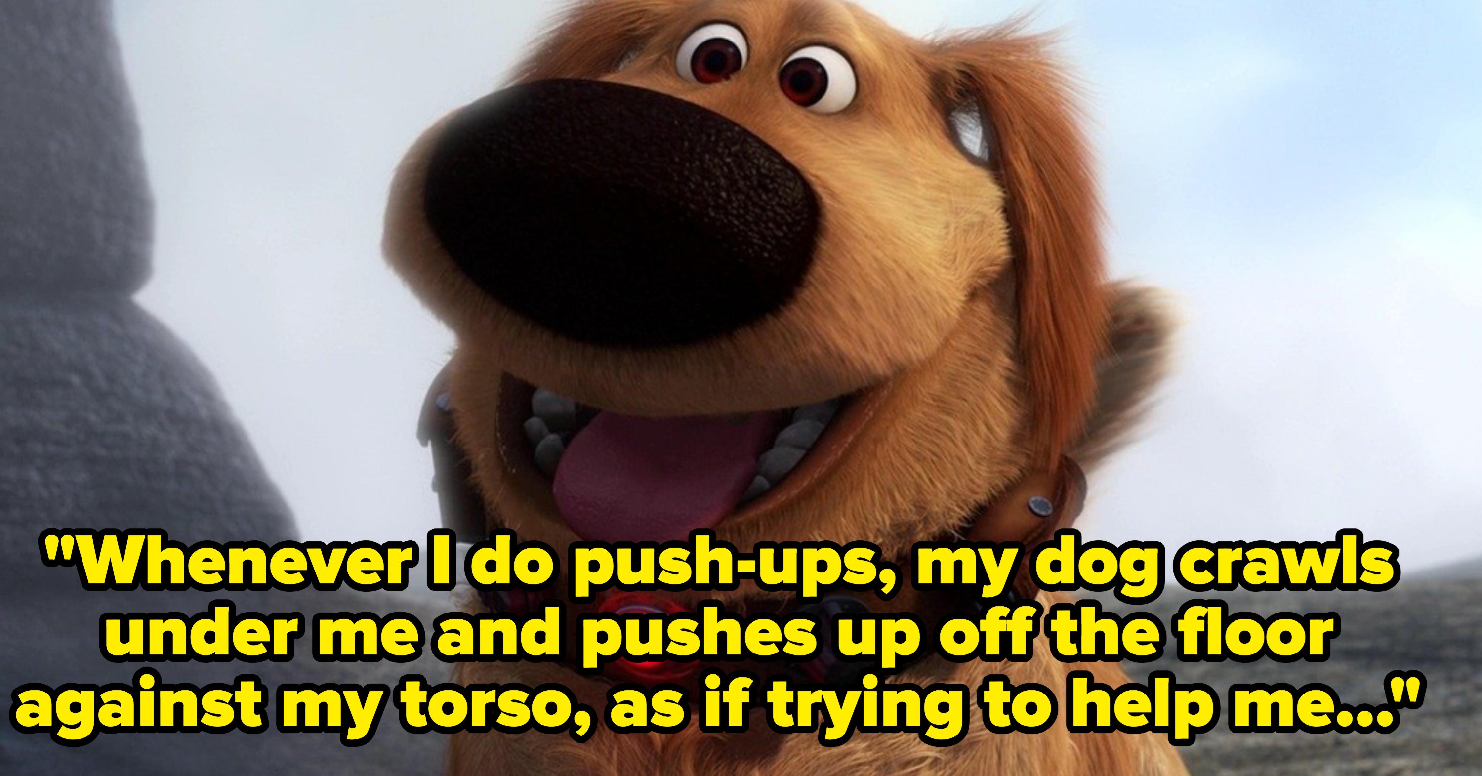 Why Does My Dog Always Push Me Away