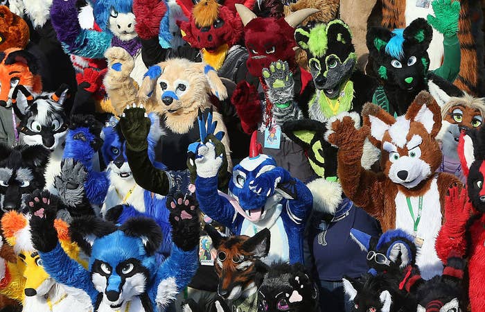 What Have You Always Wanted To Know About Furries?