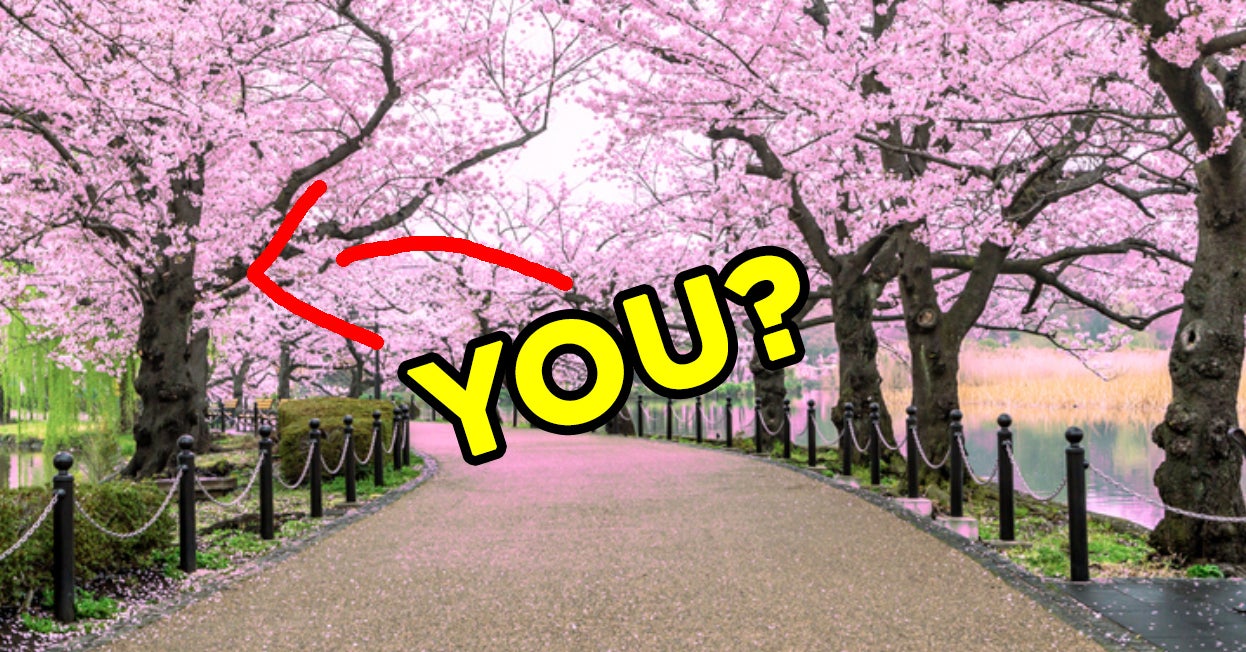 Quiz: What Type Of Tree Are You?