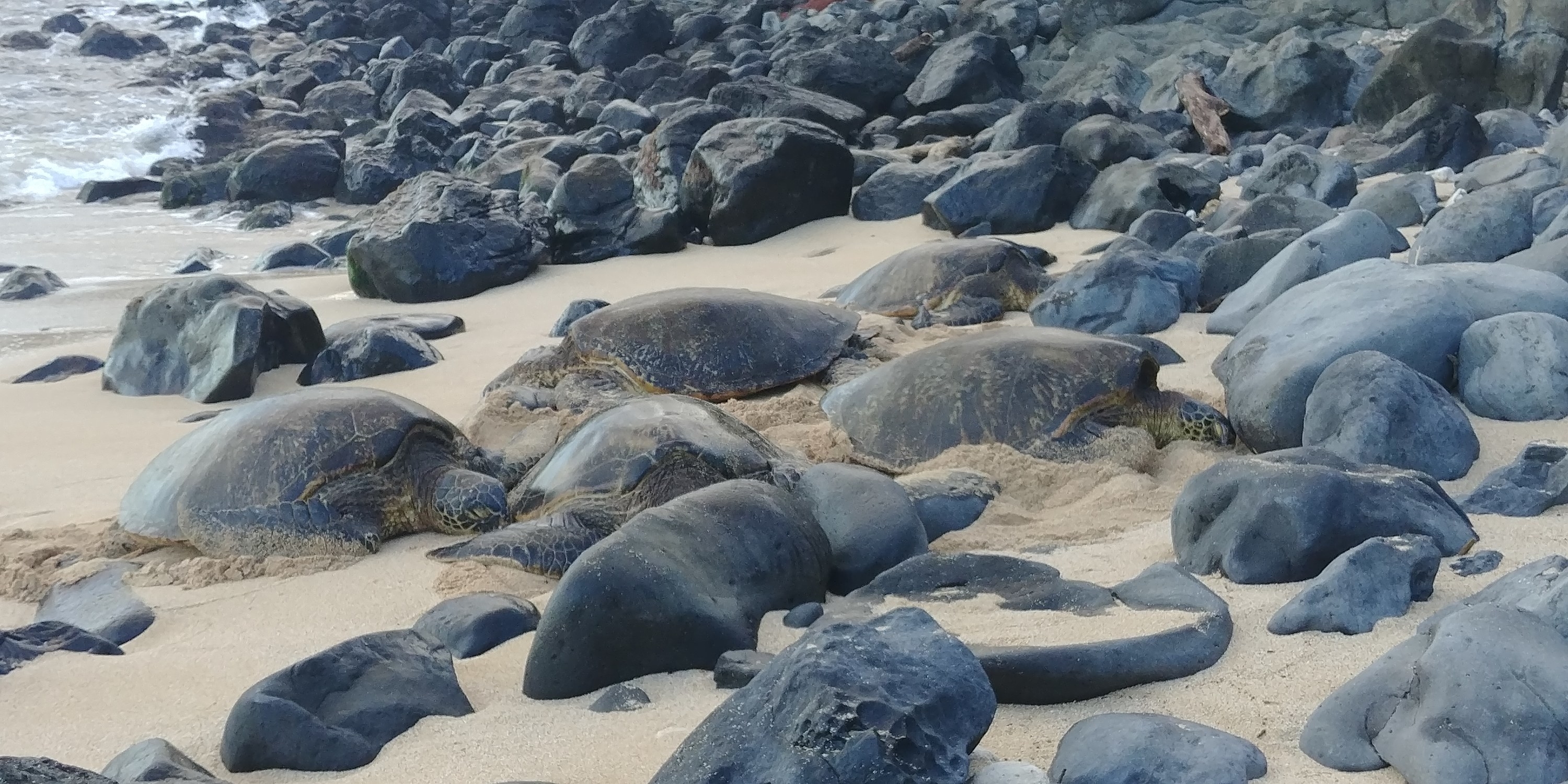 The Ultimate Maui Travel Guide