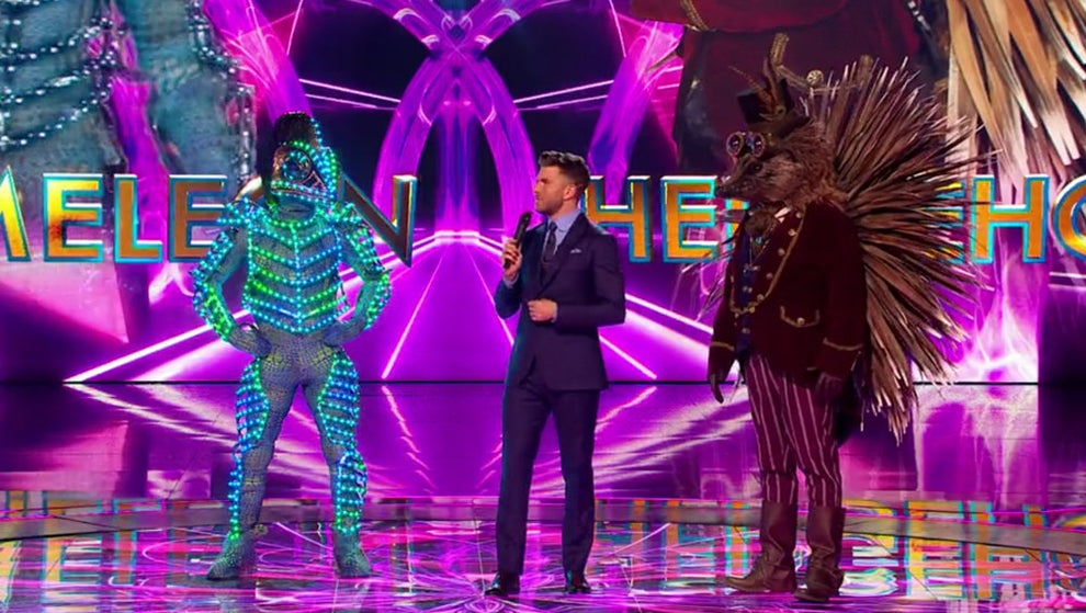 9 Questions I Have About "The Masked Singer", The Most Insane Show I ...