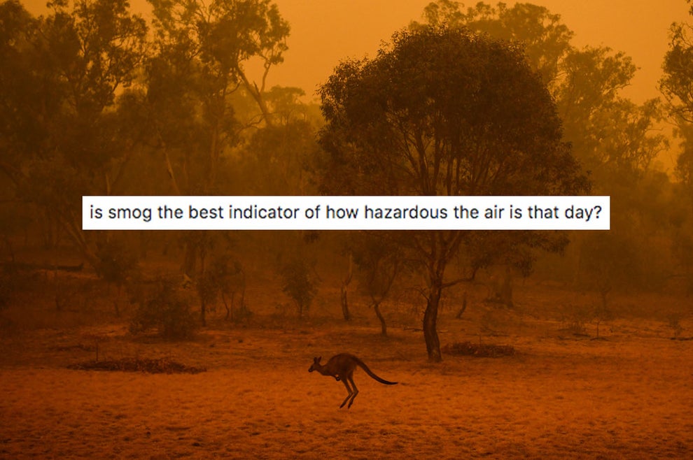 If You're Worried About What Australia's Smoke Is Doing To Your Lungs ...