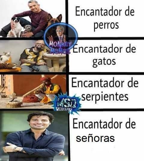 Los 21 mejores memes de Chayanne que te van a gustar a ti y también a ...