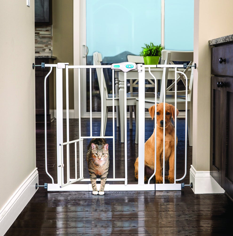 31 Things From Walmart That Just Want To Make Life Easier For Pet Owners