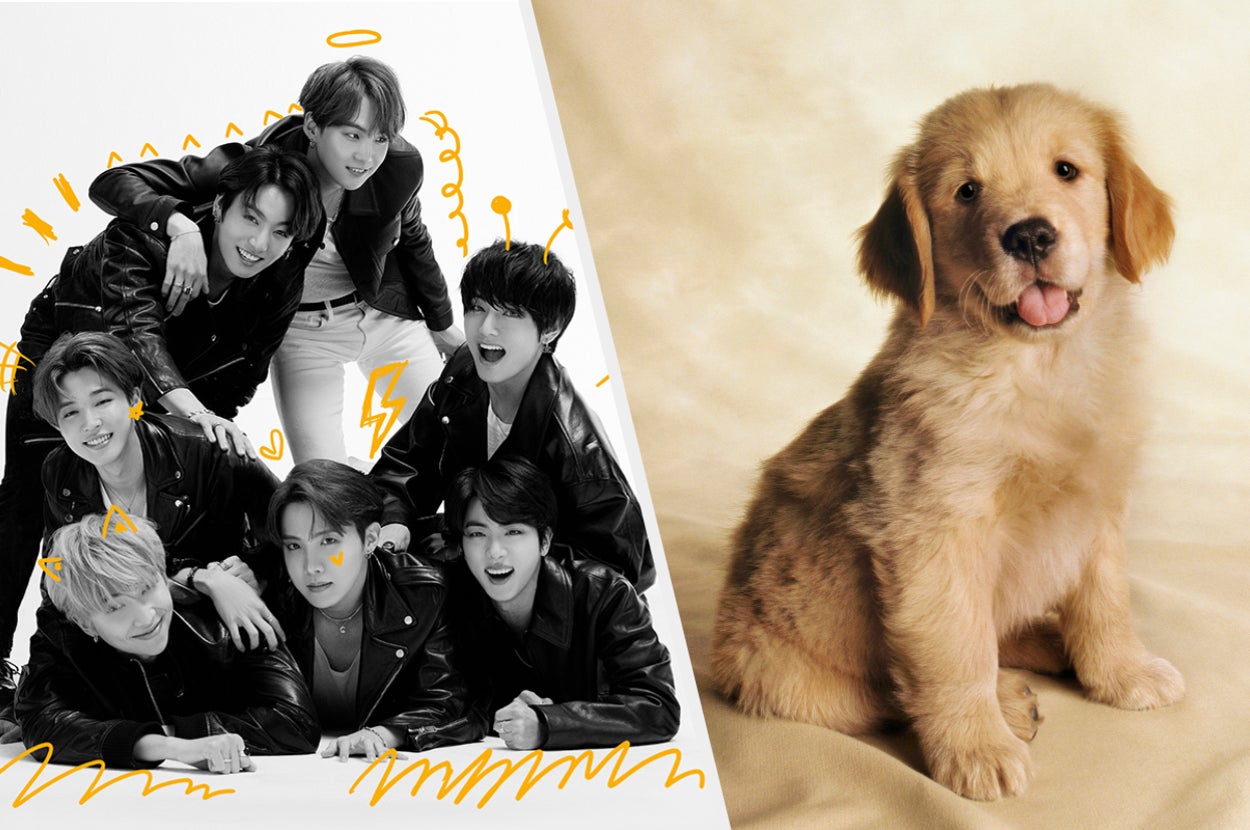 Which BTS Member Are You Based On The Adorable Dogs You Adopt?