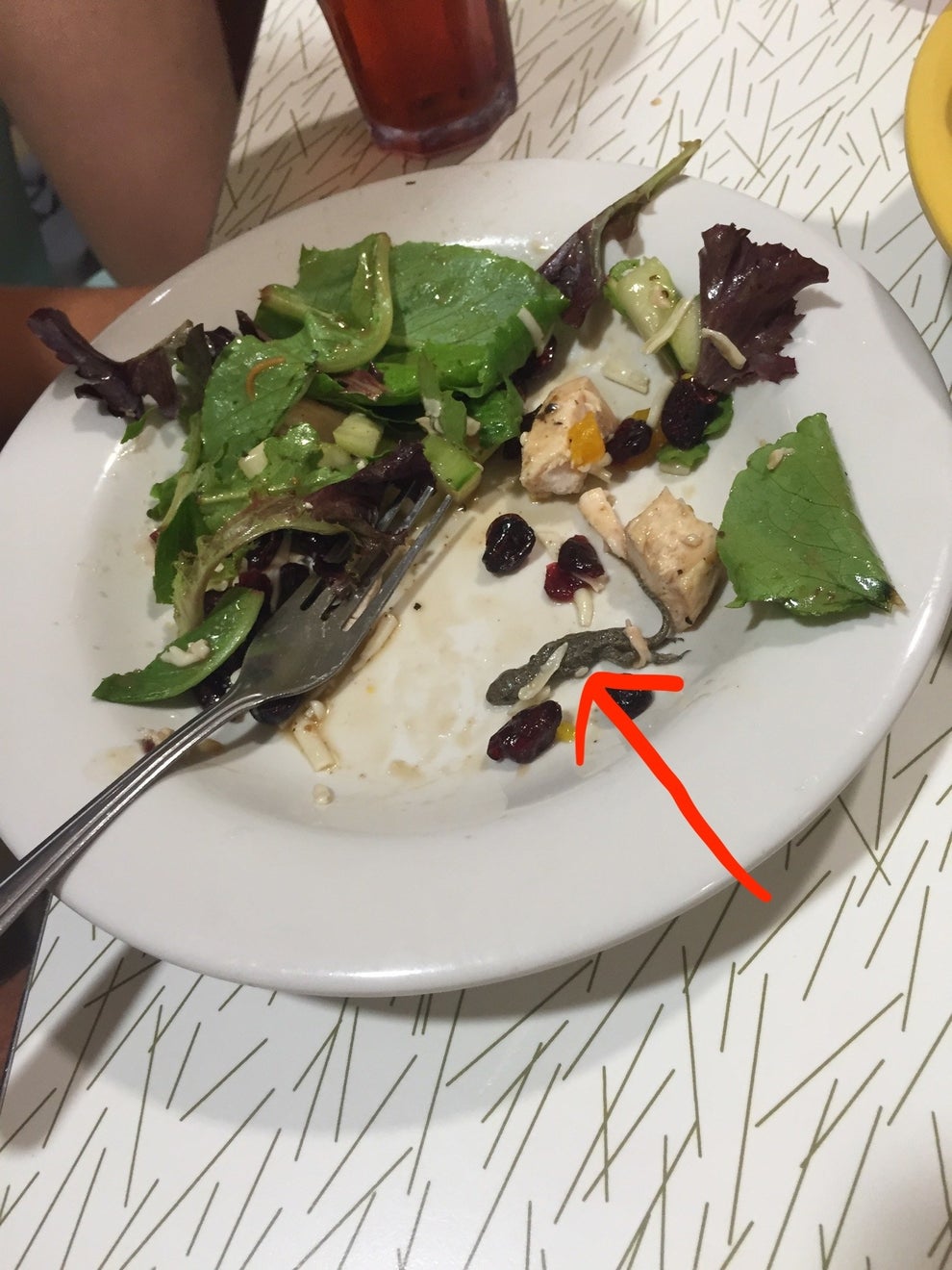 18 Of The Worst College Dining Hall Food Fails