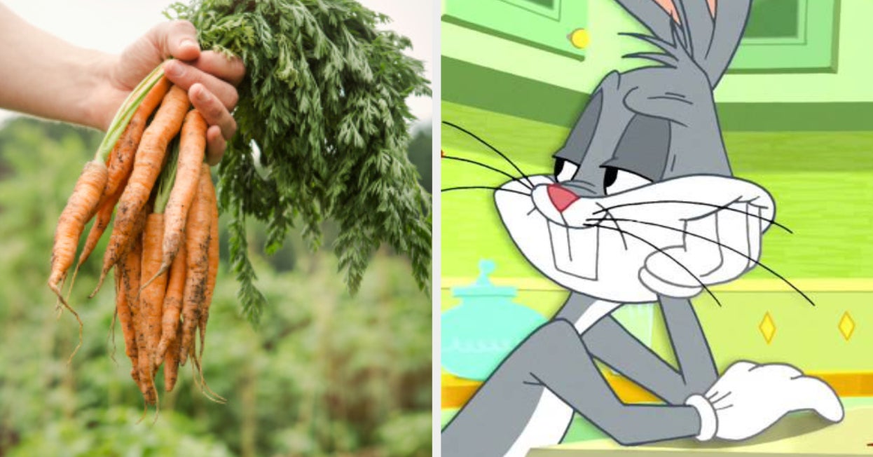 Quiz: Which Fictional Bunny Are You Based On This Carrot Quiz?