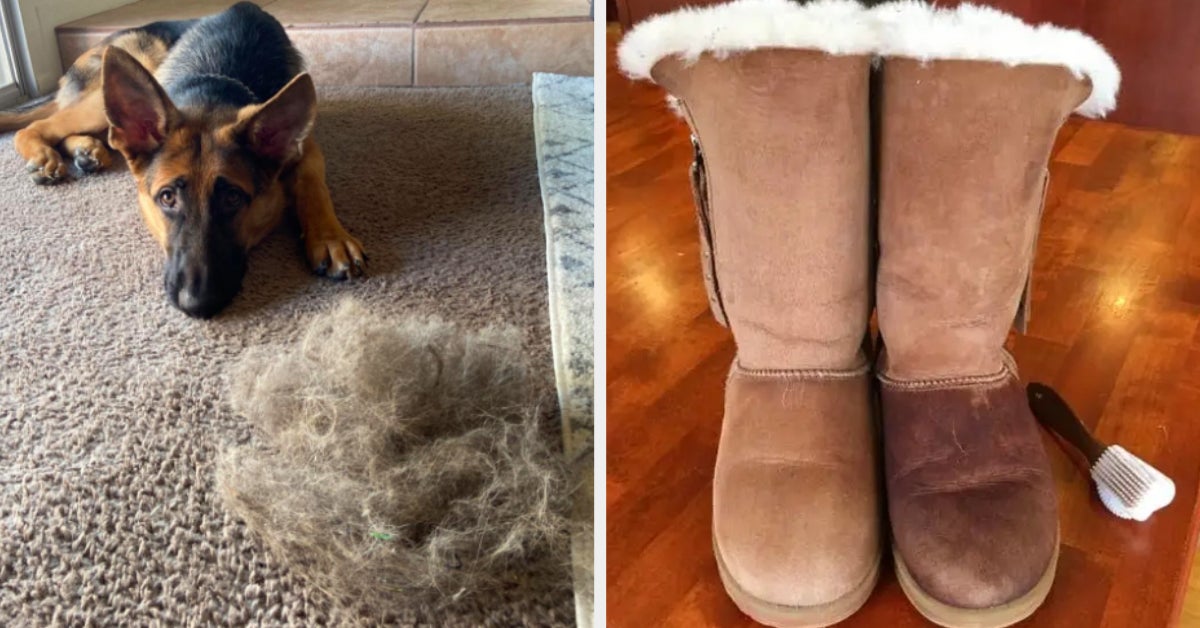 28 Cleaning Products That Are So Good, Even Danny Tanner Would Probably ...