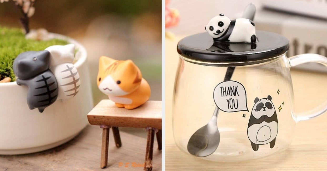 Cute Things That Will Make Your Day Better