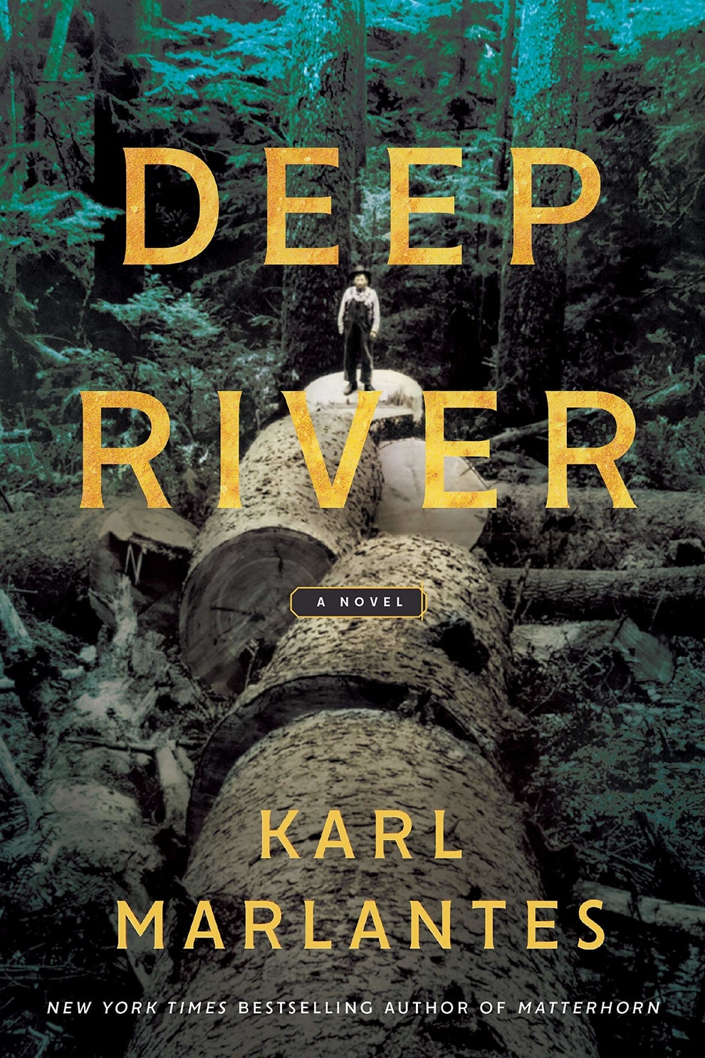44 Great Books To Read Over Spring Break