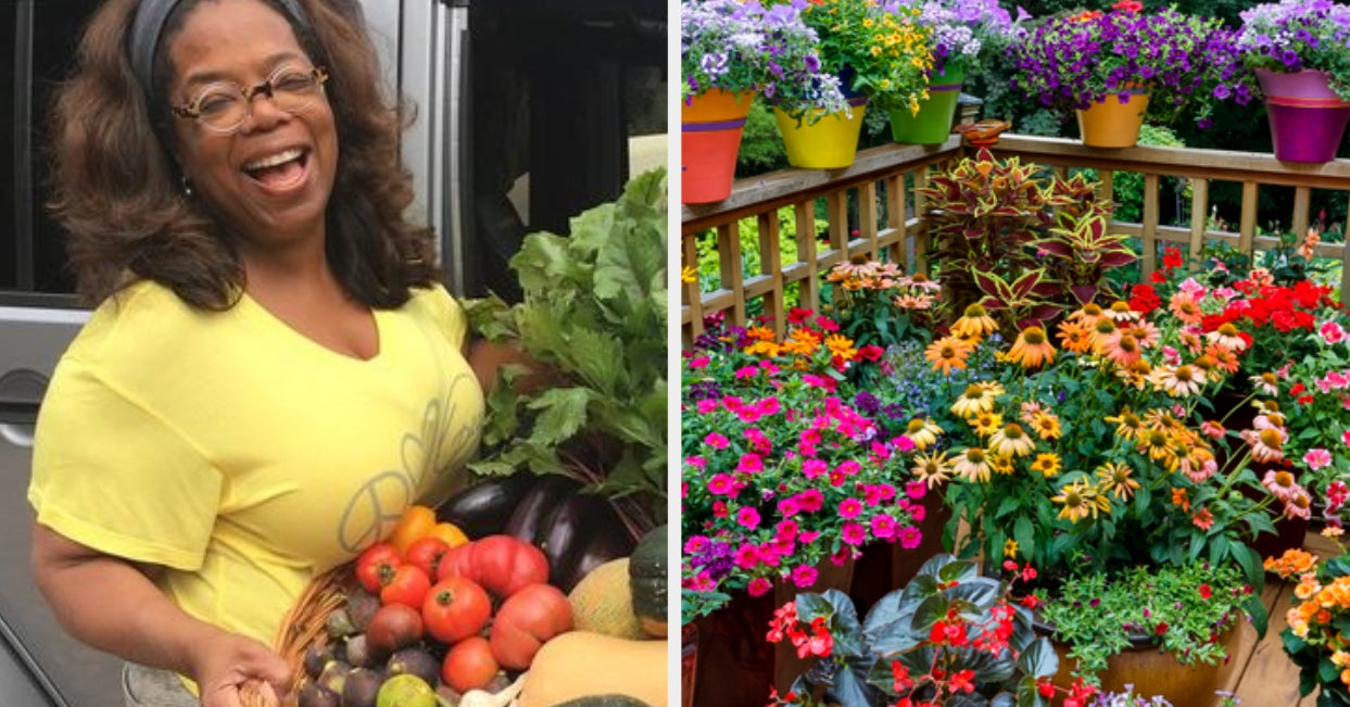 Quiz: Create An Epic Garden To Find Out Which Country You Were Meant To ...