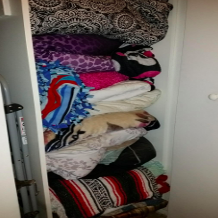 29 Products That'll Help You Declutter Your Room