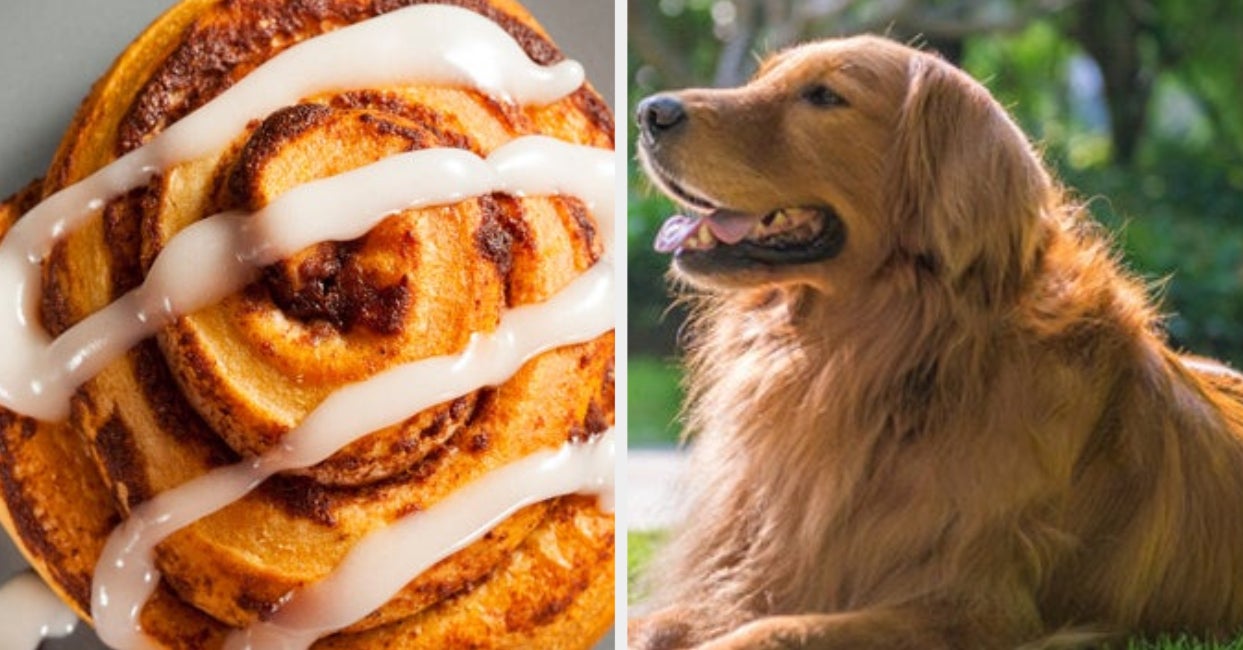17 Quizzes That Are Just A Delightful Distraction