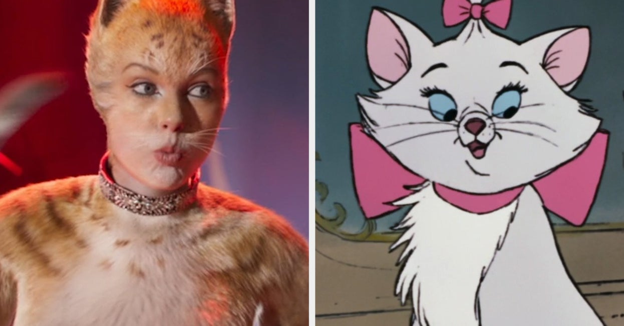 Quiz: What Is Your Cat Personality?