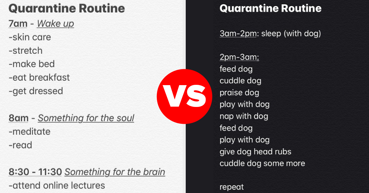 16 “Quarantine Routine” Tweets That Are Making Me Laugh Out Loud From ...