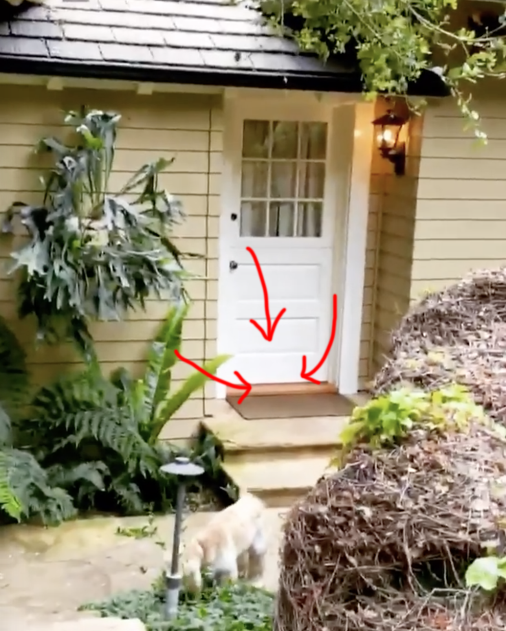 Oprah's Longterm Partner, Stedman Graham, Quarantined In Guest House ...