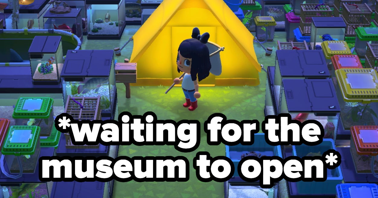17 "Animal Crossing: New Horizons" Jokes For Anyone Who's Been Playing ...