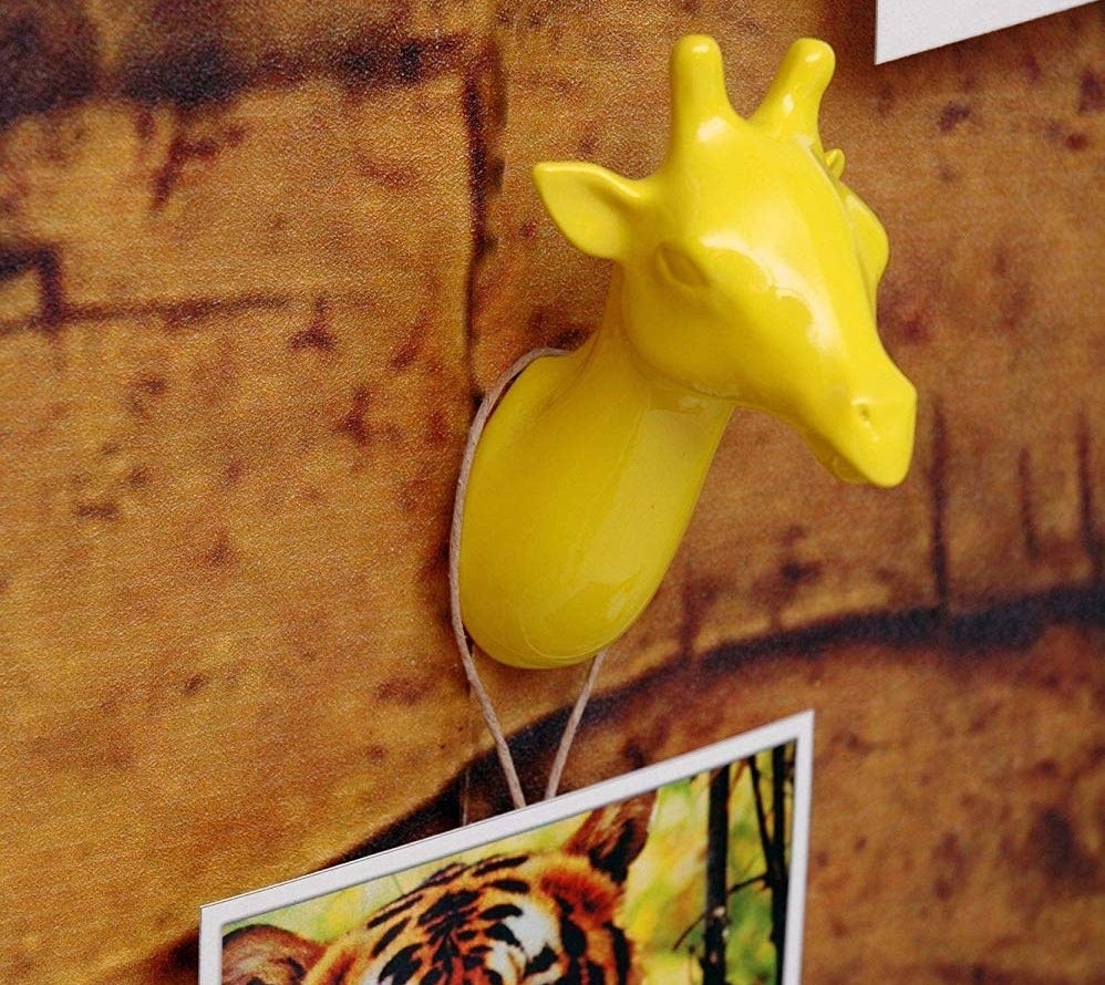 32 Fun And Quirky Home Accessories You Might Not Believe Are Under £10