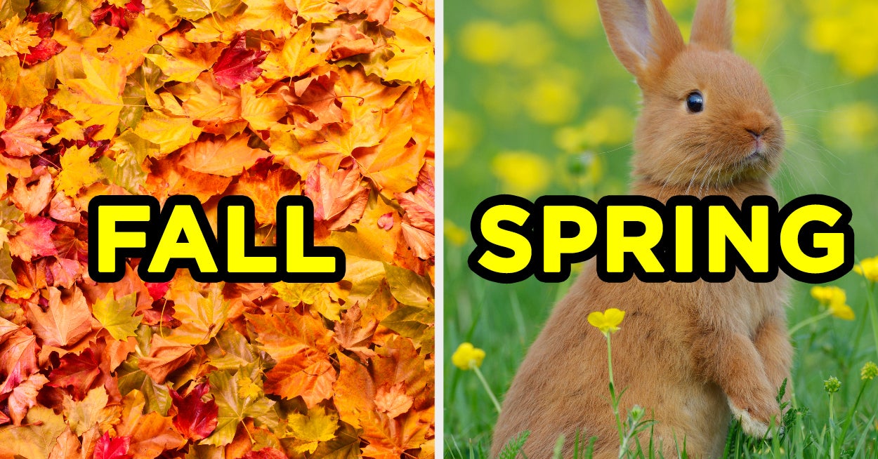Quiz: We Actually Know If You Were Born In Spring, Summer, Winter, Or Fall