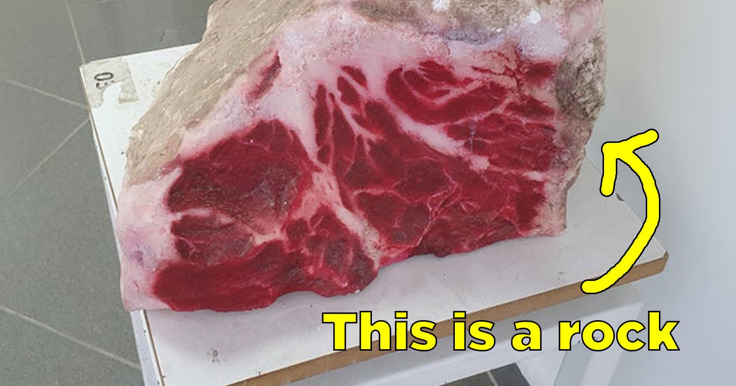 17 Weird Pictures That Are Equal Parts Bizarre And Fascinating