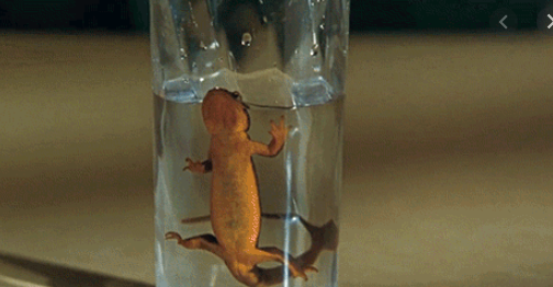 Quiz: Only Someone Who's Seen "Matilda" At Least 3 Times Can Pass This Quiz