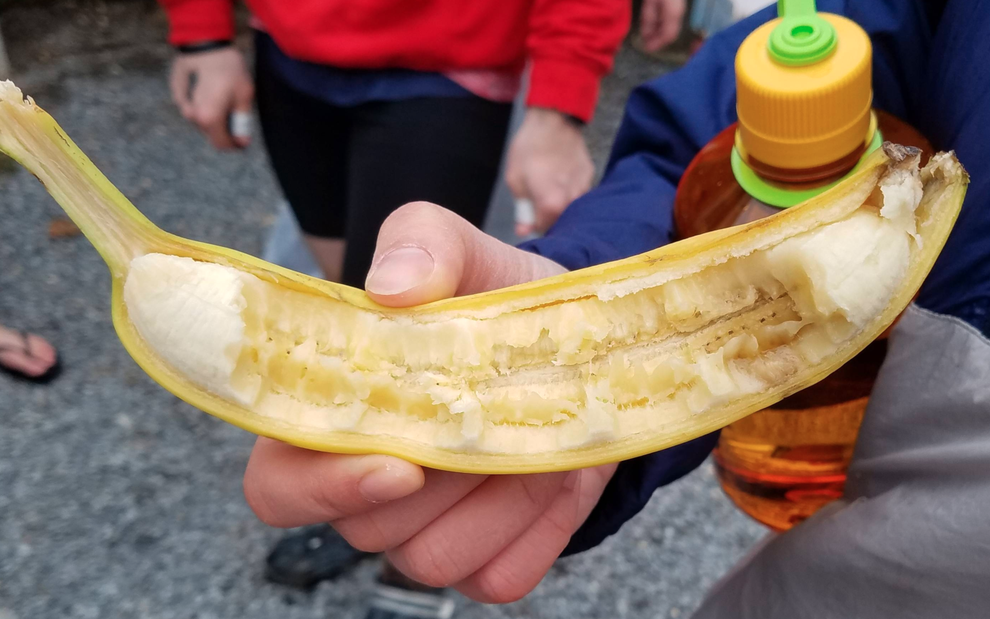 15 People Who Eat Their Food Like Aliens Who Just Arrived On Earth And ...