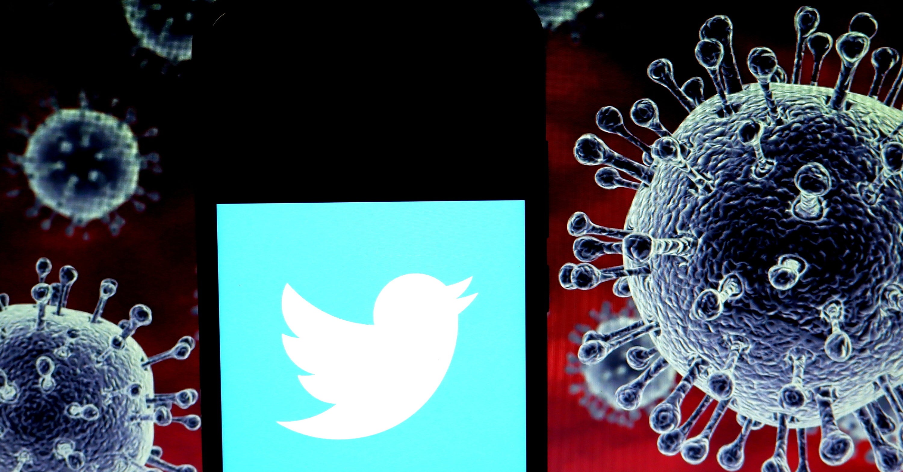 The Coronavirus In India: Twitter Suspends Account Of Rangoli Chandel ...