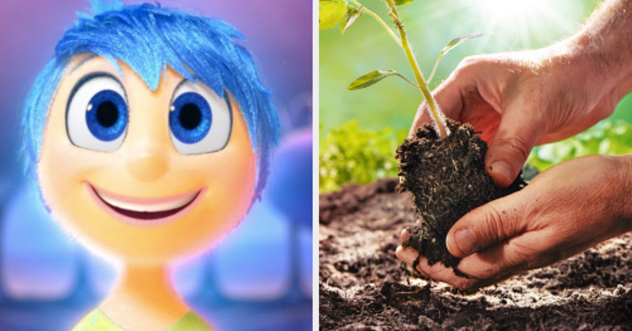 Quiz: Which "Inside Out" Character Are You Based On The Backyard You ...