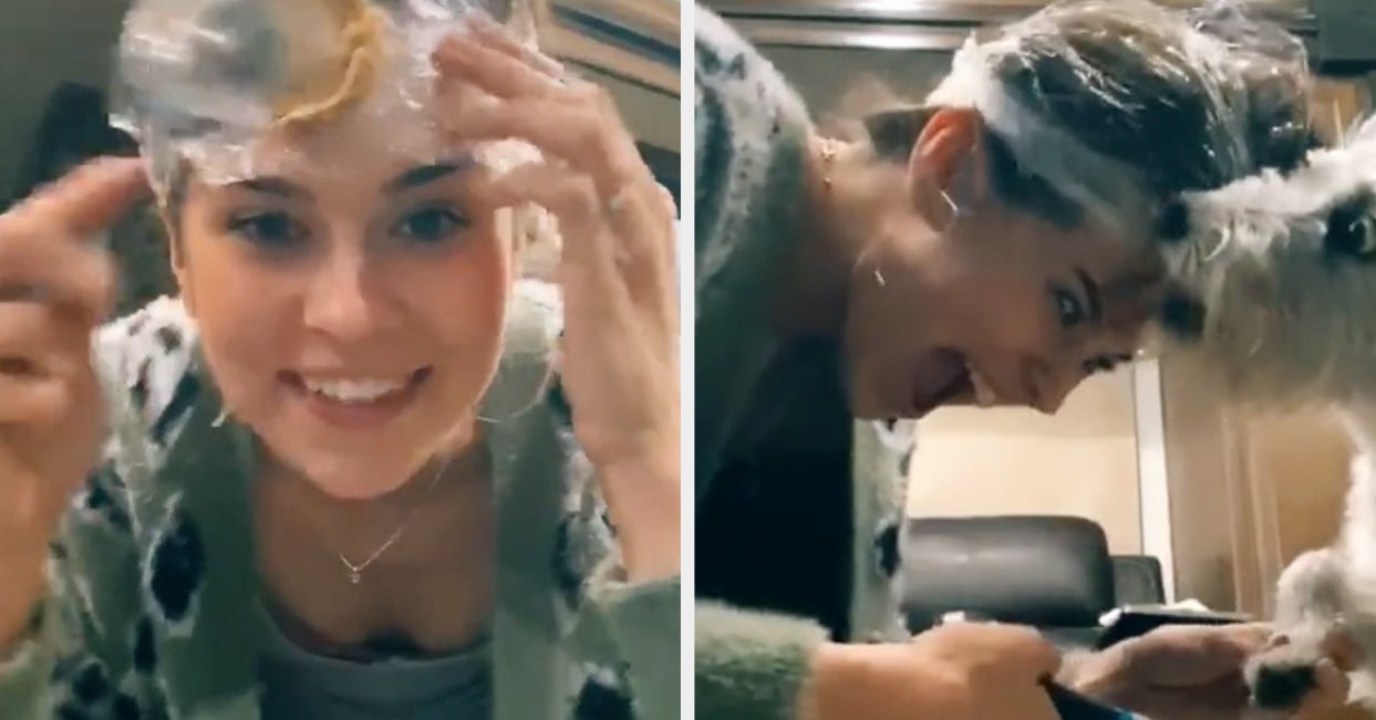 This TikTok Of A Woman's Hack For Getting Your Dogs To Let You Clip ...