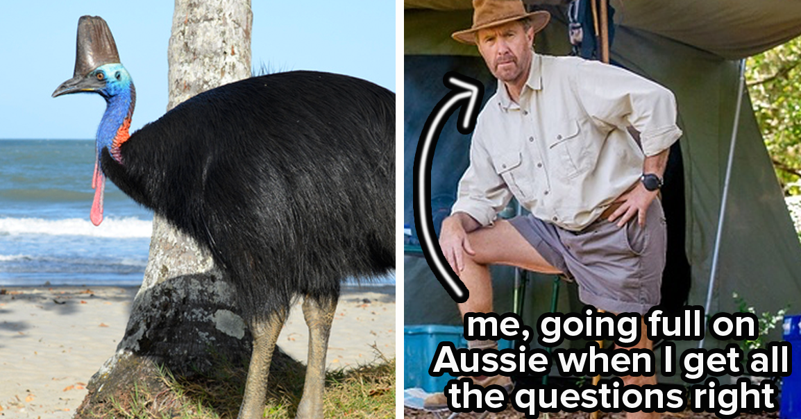 I Bet You Can’t Score 40/50 On This Mammoth Aussie Trivia Quiz