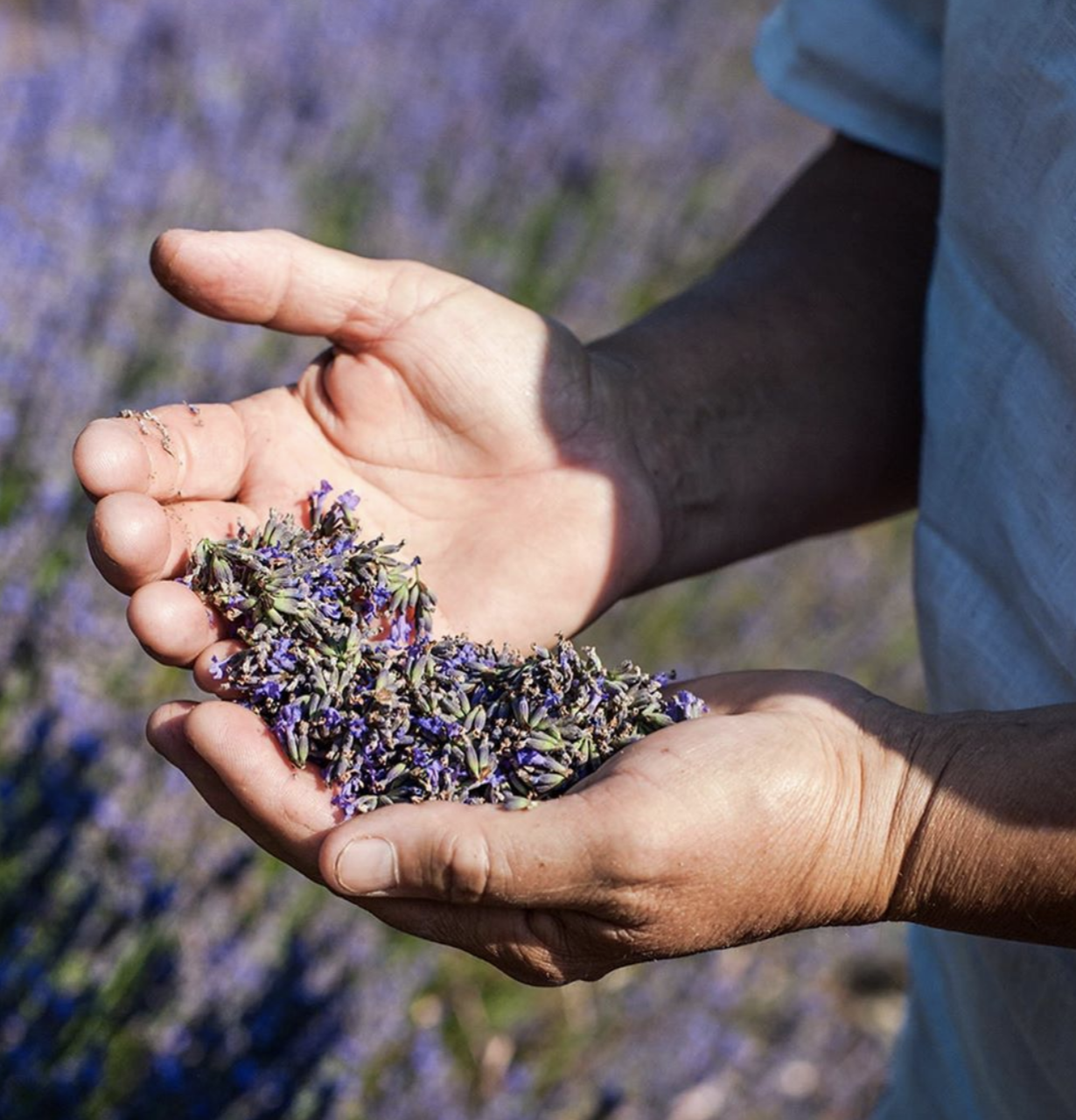 21 Products For Anyone Who Just Really Loves Lavender