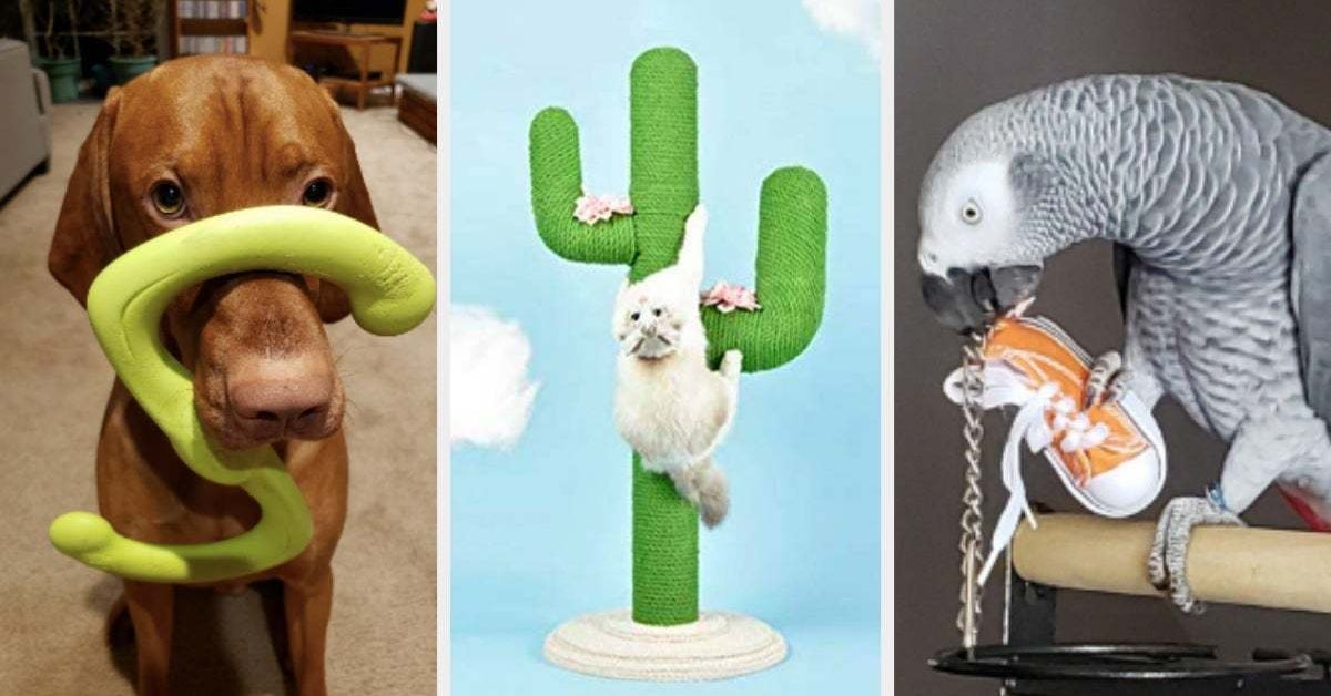 24 Pet Products That You, A Human, Might Love Even More Than They Do
