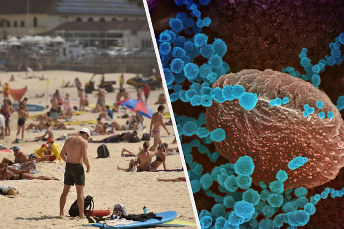 Summer Weather Could Help Kill The Coronavirus — But It Won’t End The ...