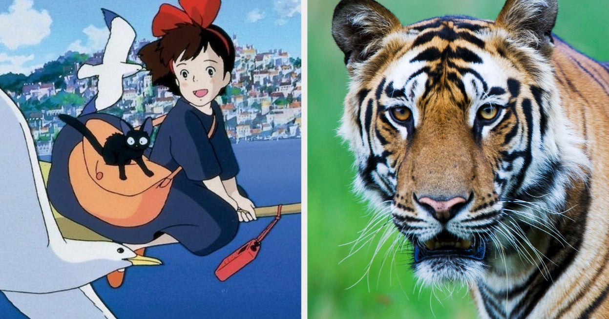 Quiz: Which Studio Ghibli Movie Do You Belong In Based On The Animals ...