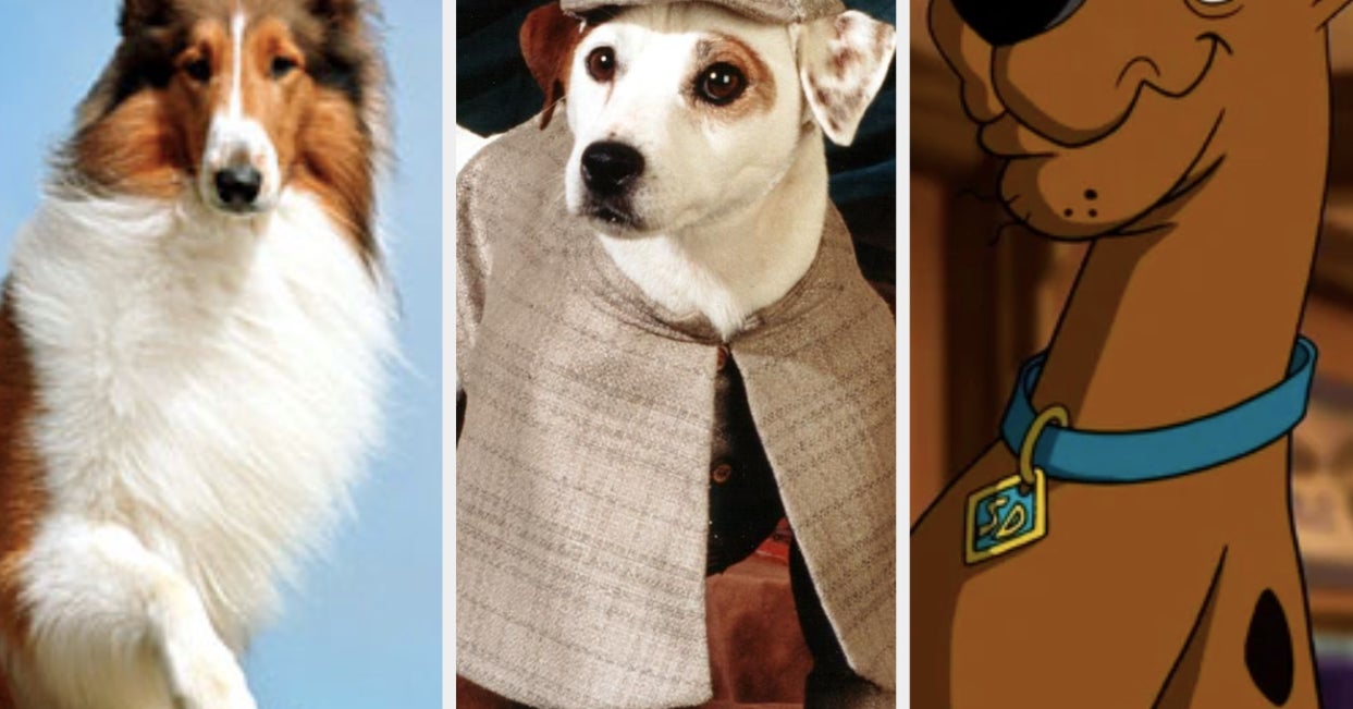 Quiz: Which Fictional Dog Would Be Your Loyal BFF?