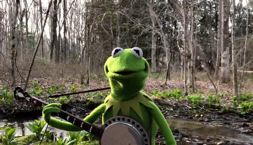 Kermit The Frog Performing "Rainbow Connection" While In Quarantine Is ...