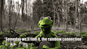 Kermit The Frog Performing "Rainbow Connection" While In Quarantine Is ...