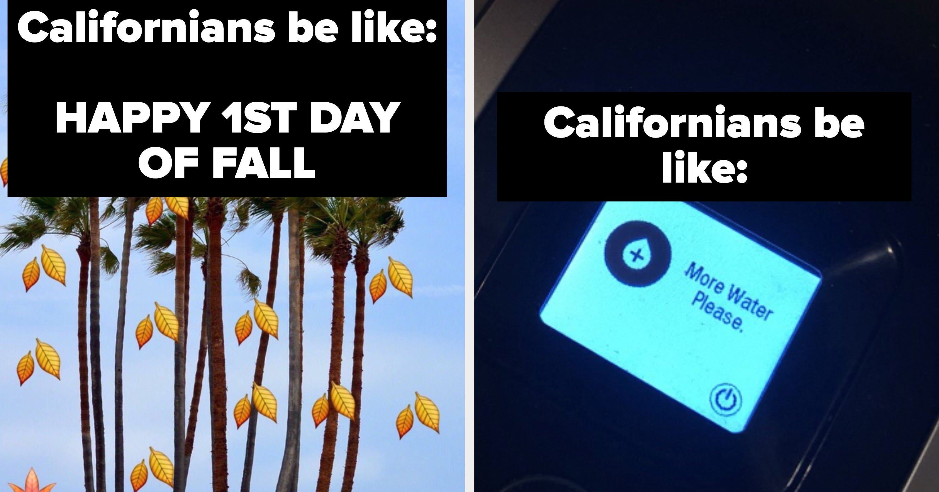 19 Jokes That Perfectly Encapsulate California