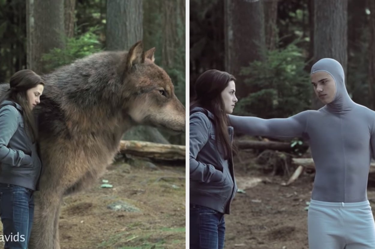 twilight eclipse wolf pack