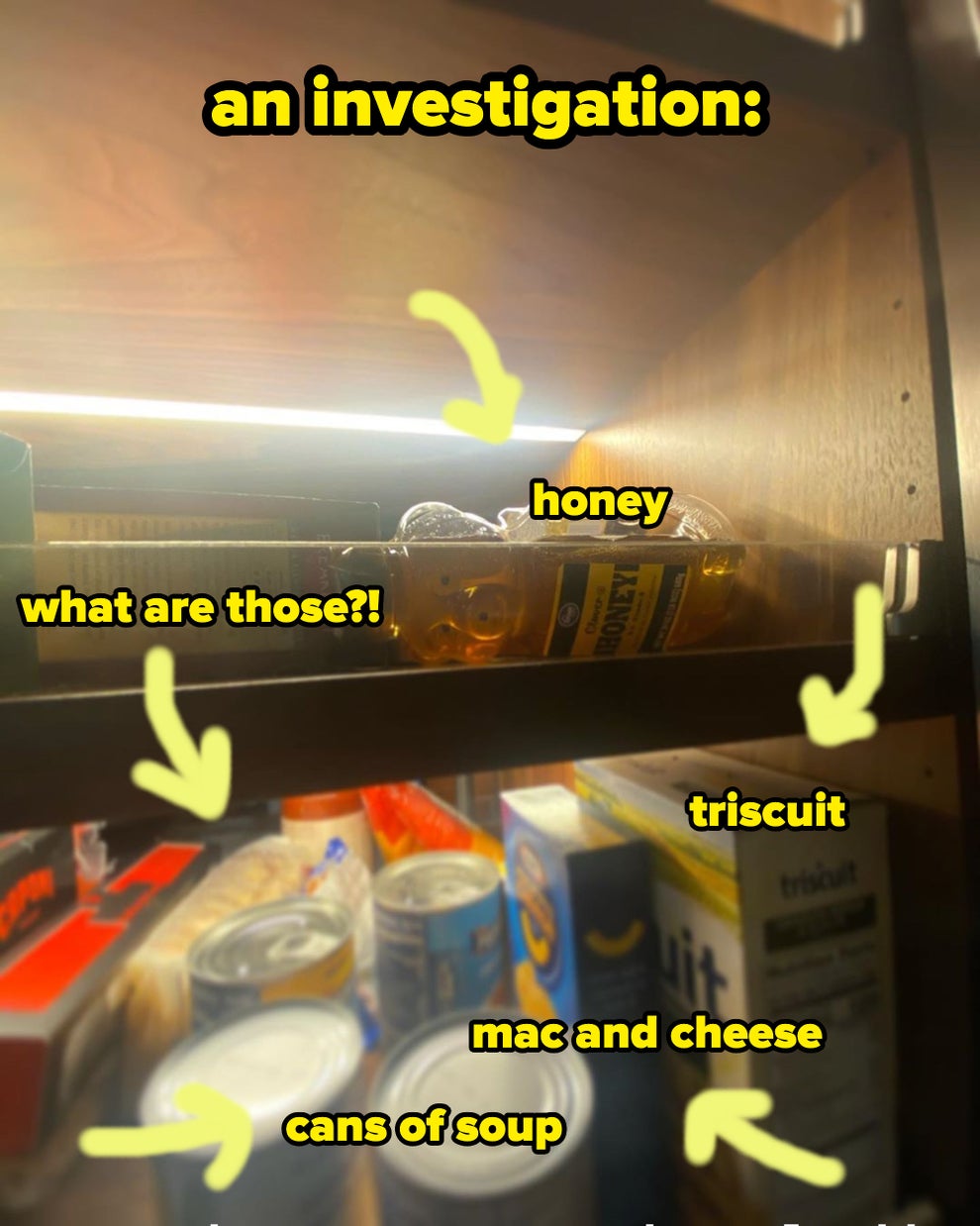 Timothée Chalamet Shared A Photo Of His Sad Pantry And People Had Jokes ...