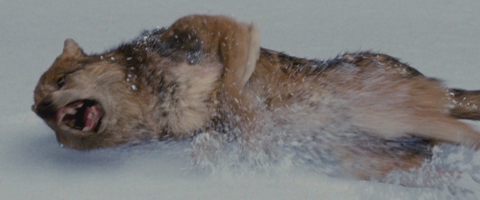 The "Twilight: Breaking Dawn — Part 2" Twist Was Honestly Genius, And ...